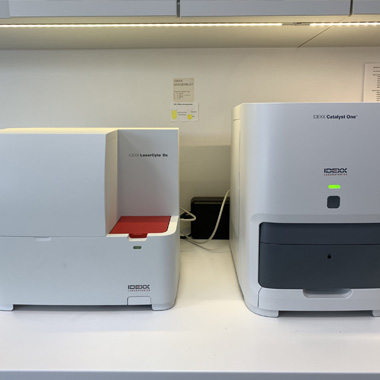 Bloedonderzoek | Dierenkliniek Breda